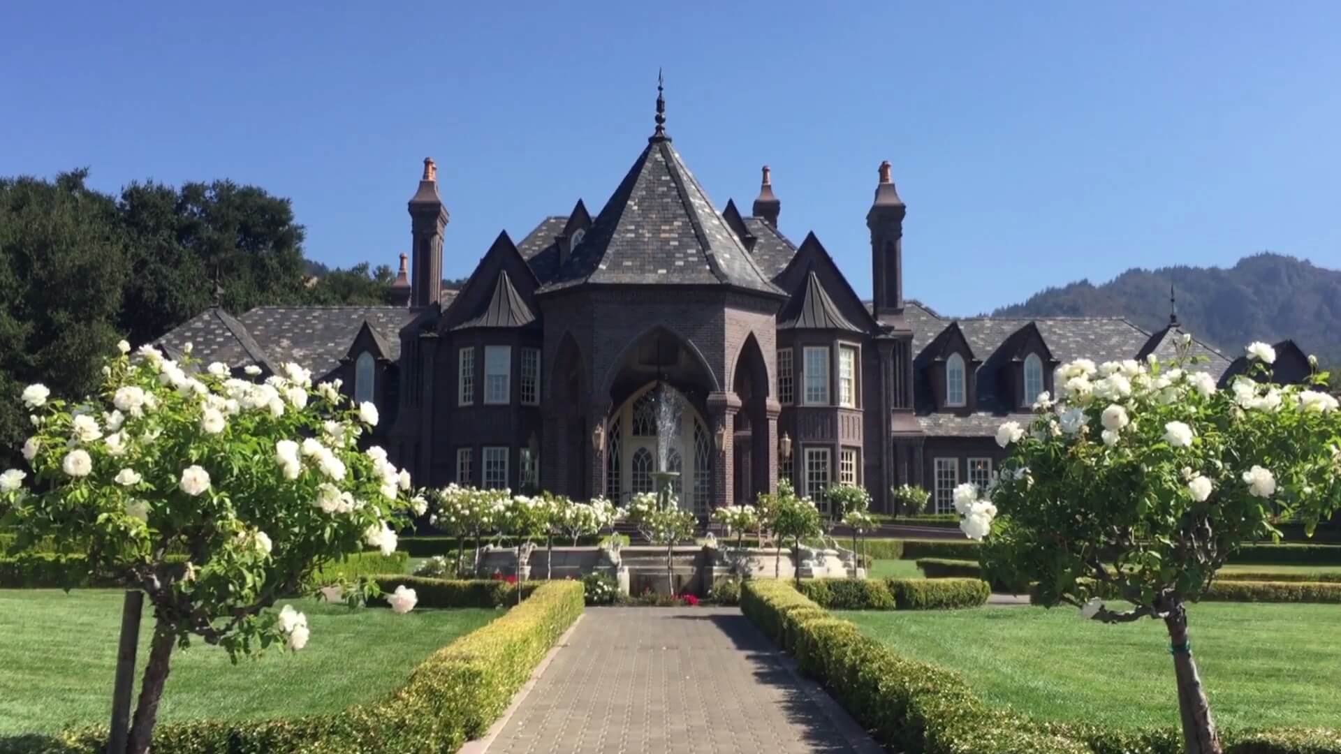 Ledson Winery - WSI Next Gen Marketing